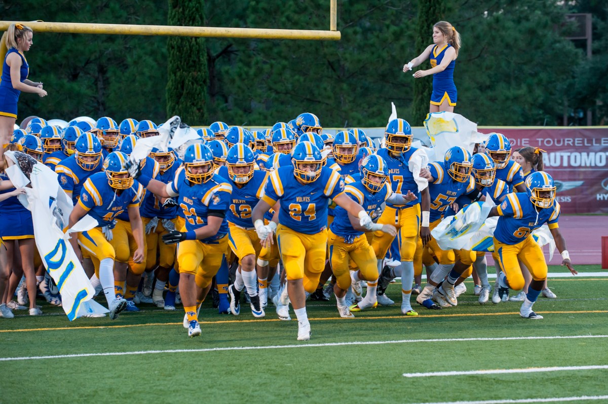 Wolf’s Eye View: Inside the Football Wolves – The Paper Wolf