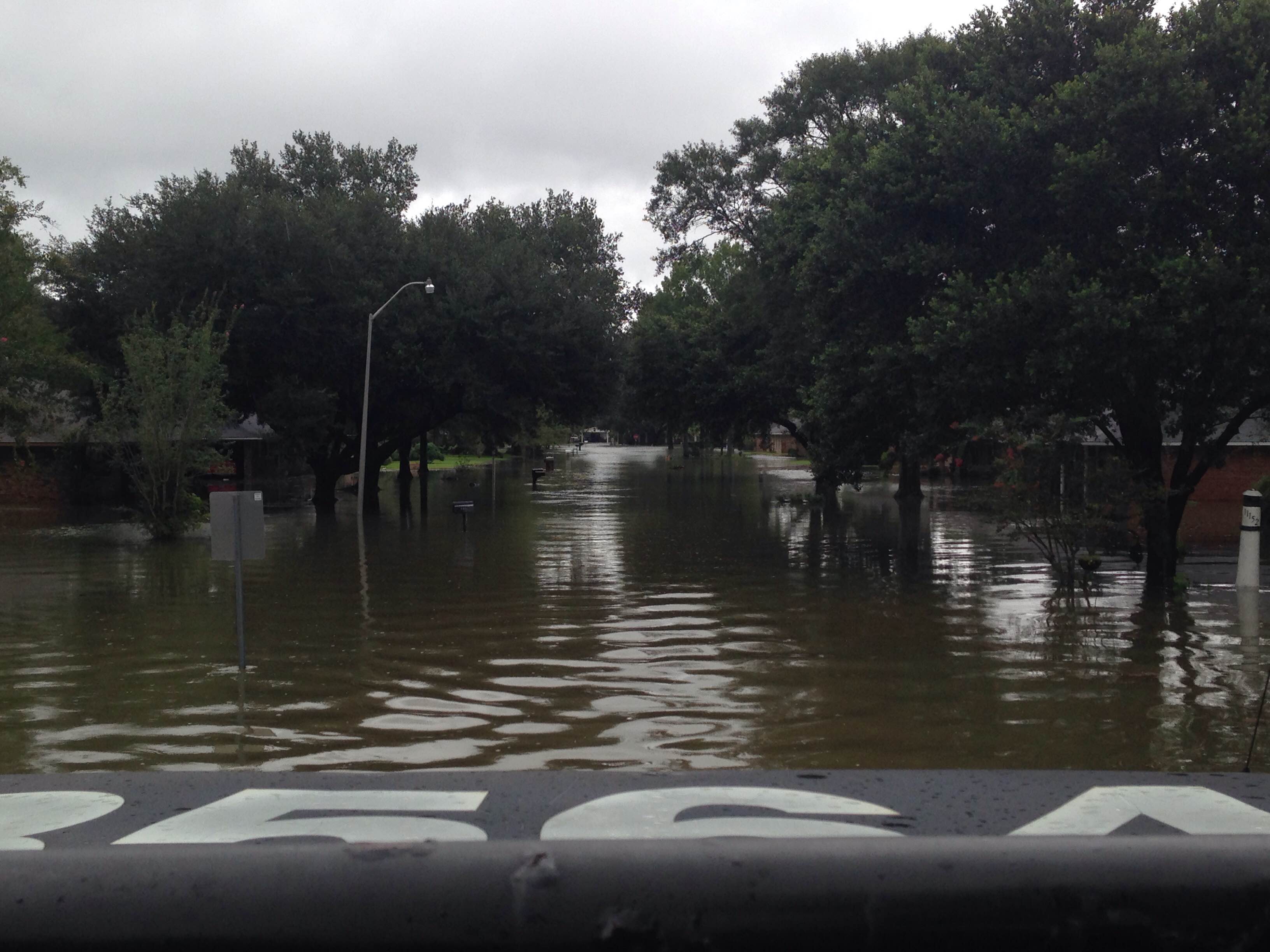 Wolf’s Eye View: Flood Rescue – The Paper Wolf