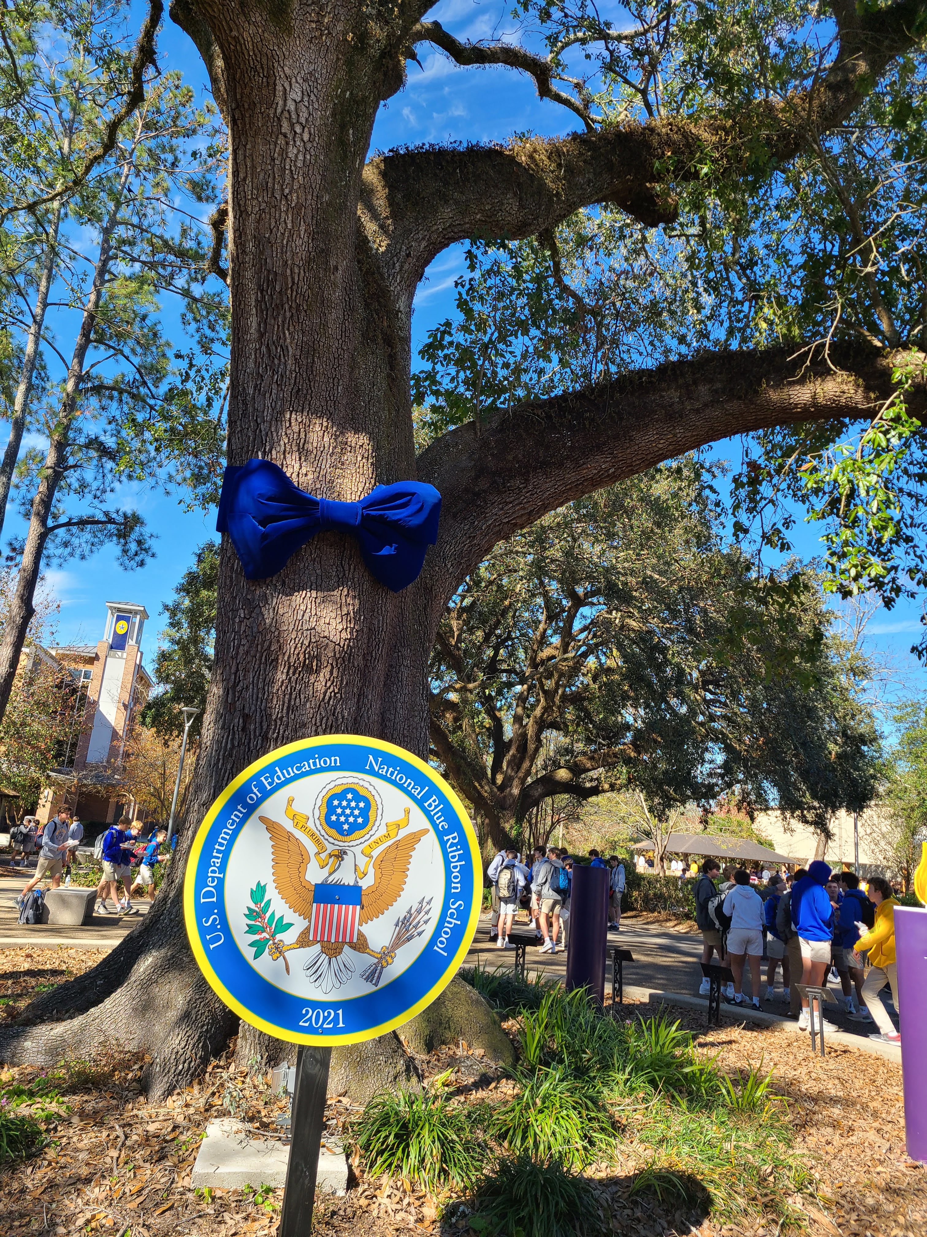 The Blue Ribbon: A Mark of Greatness – The Paper Wolf